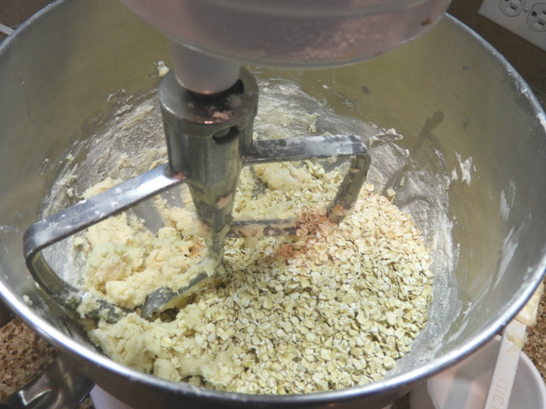 Chocolate Shot Rounds - Cookies By Bess